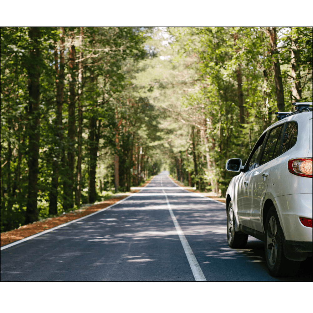 You *Can* See the Forest for the Trees: Navigating Automotive Supply ...